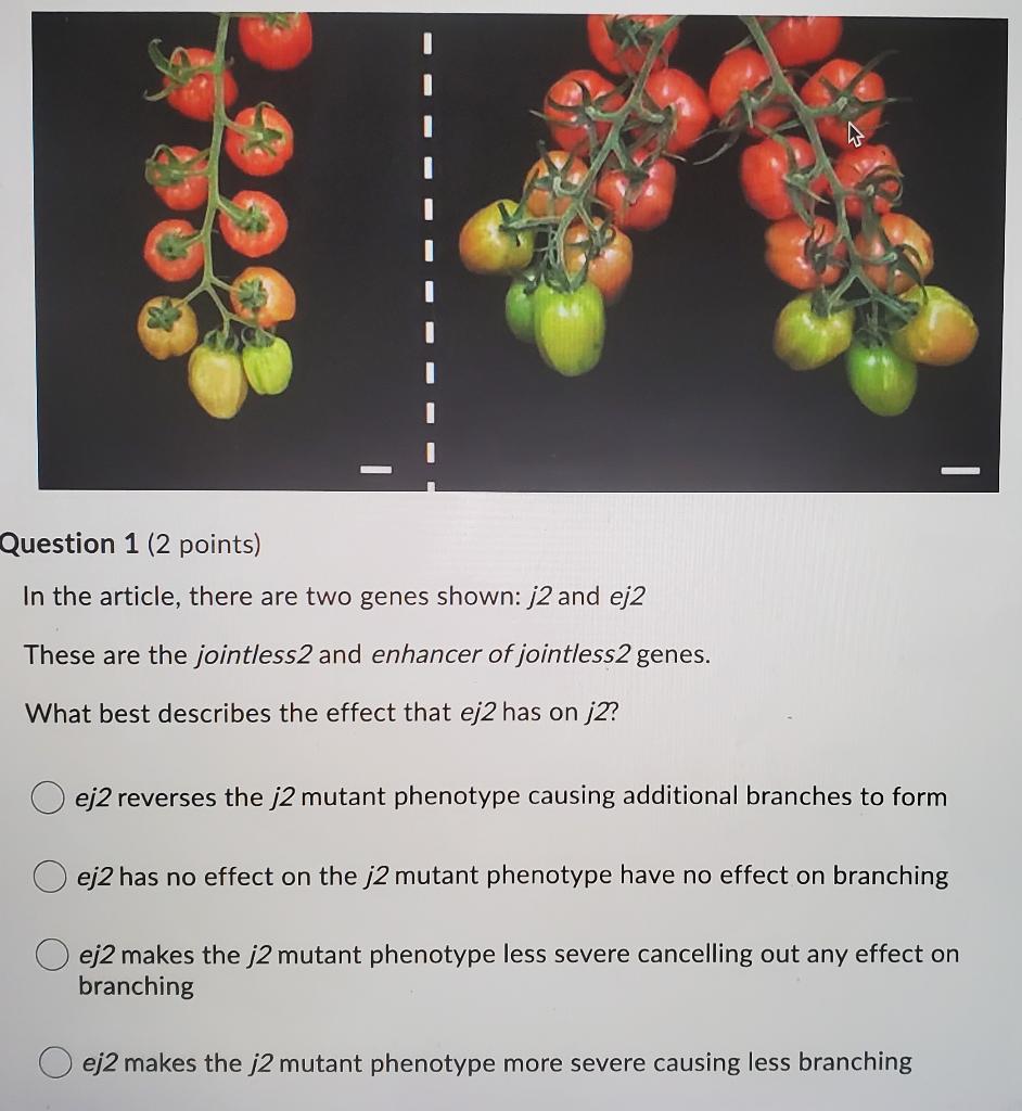 Solved In the article, there are two genes shown: j2 and ej2 | Chegg.com