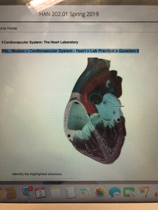Solved HAN 202.01 Spring 2019 Course Home Cardiovascular | Chegg.com