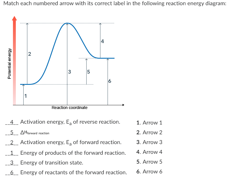 Solved Match each numbered arrow with its correct label in | Chegg.com