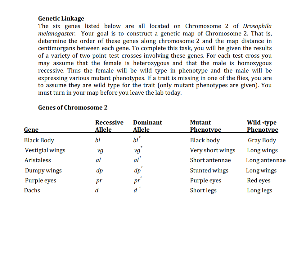 PLEASE HELP ME WITH MY GENETICS ASSIGNMENT!! GENETIC | Chegg.com