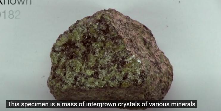 Solved This is a medium- to dark-toned rock,This specimen is | Chegg.com