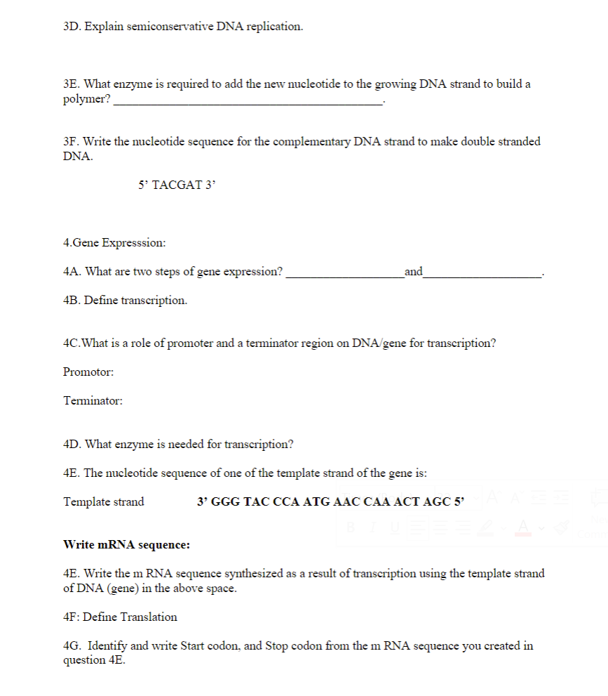 Solved 3D. Explain semiconservative DNA replication. 3E. | Chegg.com