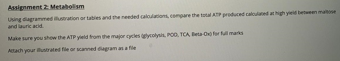 Solved Assignment 2: Metabolism Using diagrammed | Chegg.com