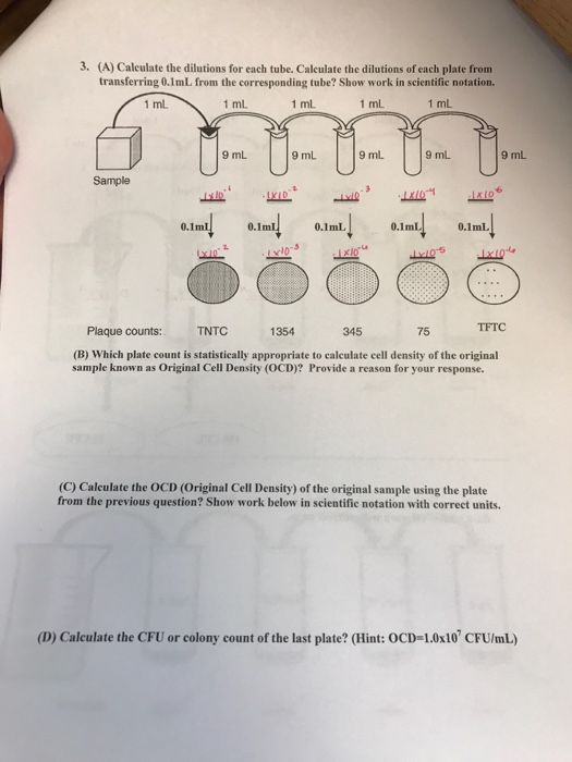 3. (A) Caleulate the dilutions for each tube. | Chegg.com