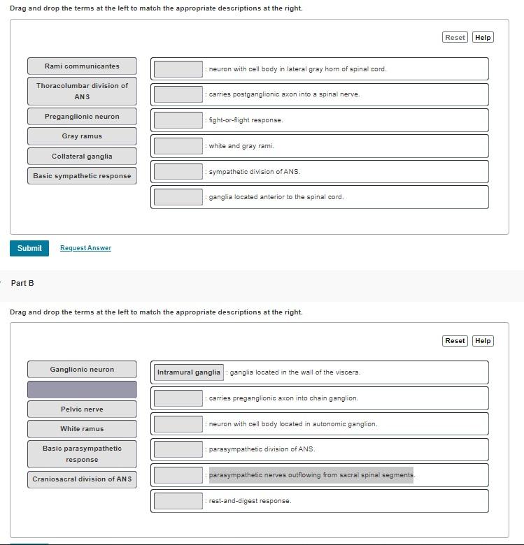 Solved Drag And Drop The Terms At The Left To Match The Chegg