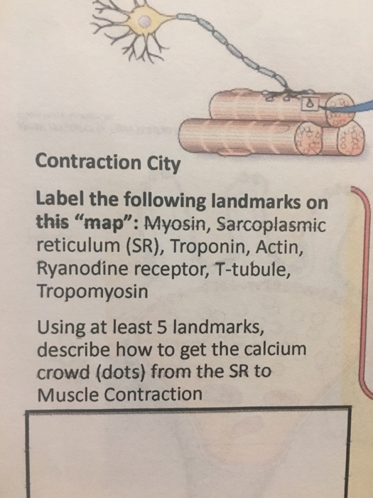 Solved Contraction City Label the following landmarks orn | Chegg.com
