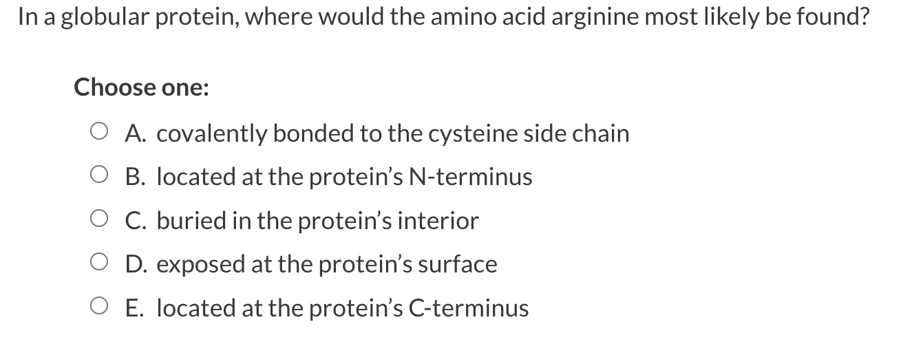 Solved In a globular protein, where would the amino acid | Chegg.com