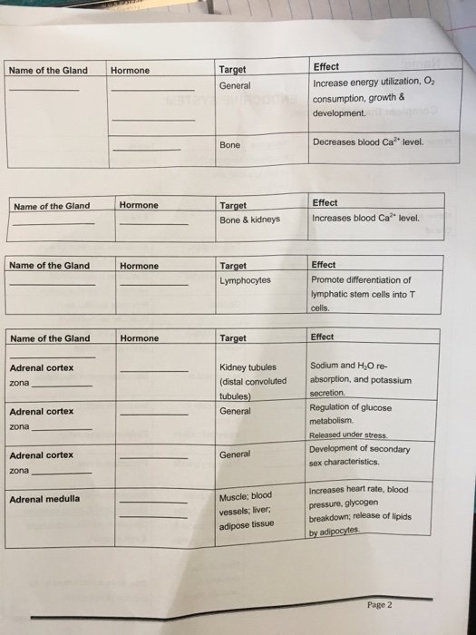 Solved Name: ENDOCRINE SYSTEM Complete the tables below: | Chegg.com