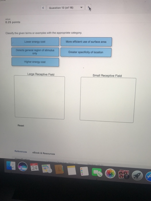 Solved Question 13 (of 18) value 0.25 points Classify the | Chegg.com