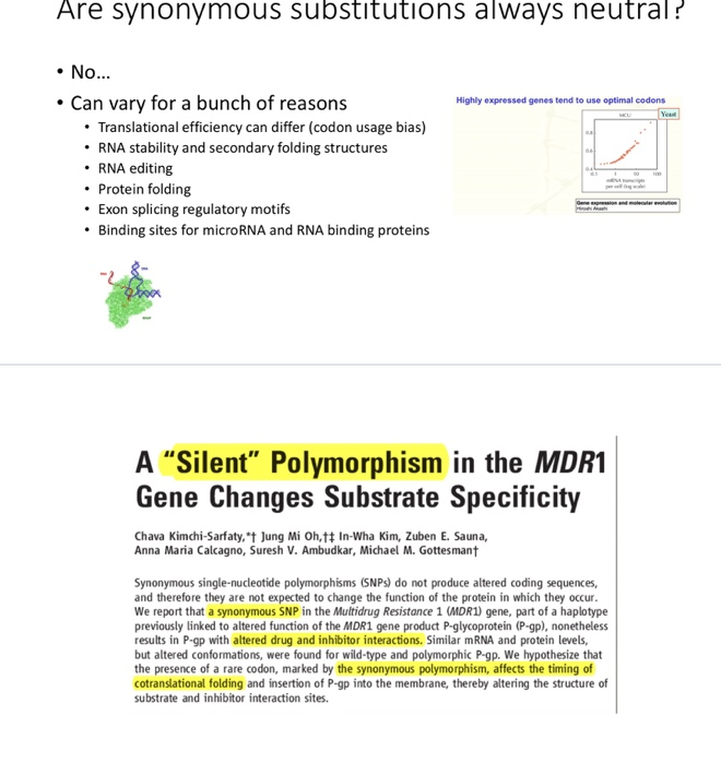 Solved 19. Why do you think scientists historically thought | Chegg.com