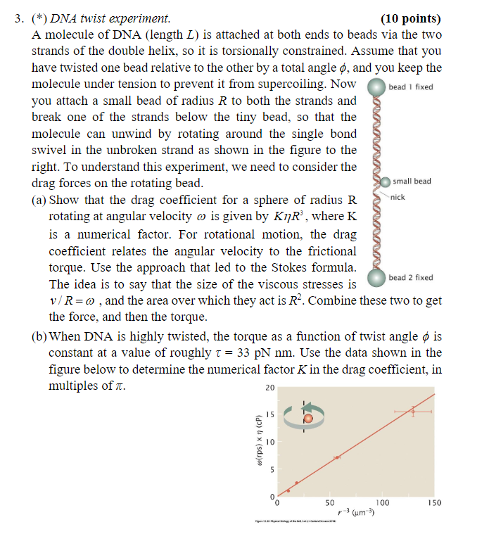 3. (*) DNA twist experiment. (10 points) A molecule | Chegg.com