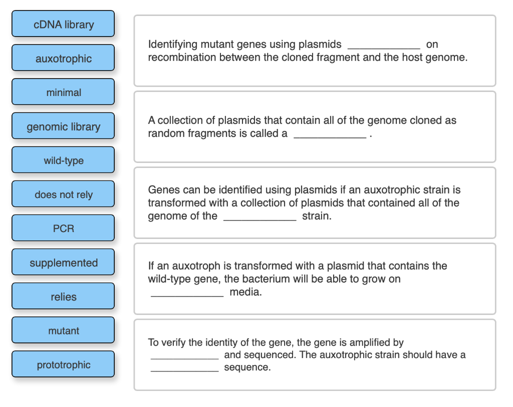 Solved Complete each sentence about identifying mutant genes | Chegg.com