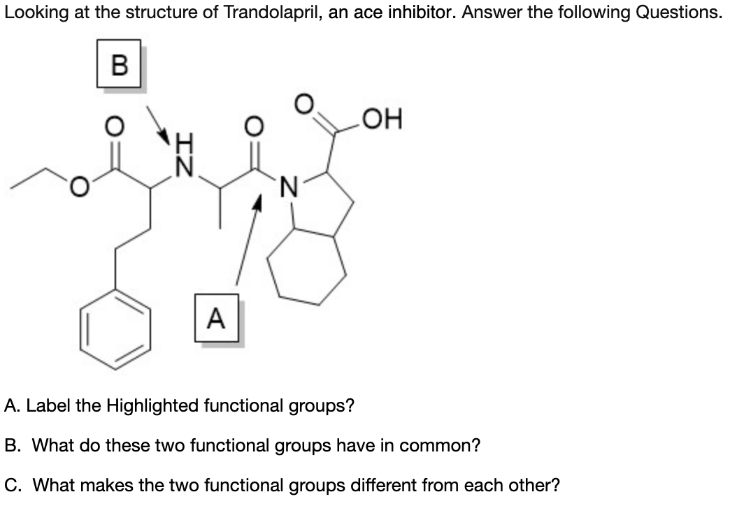 Solved Looking at the structure of Trandolapril, an ace | Chegg.com