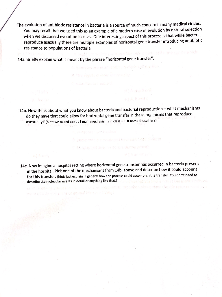 Solved The evolution of antibiotic resistance in bacteria is | Chegg.com