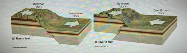 Solved Contrast the direction of stress and displacement | Chegg.com