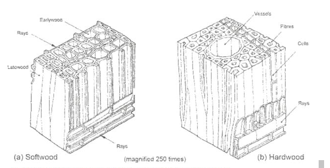 Solved a) Describe the shrinkage characteristics of wood in | Chegg.com