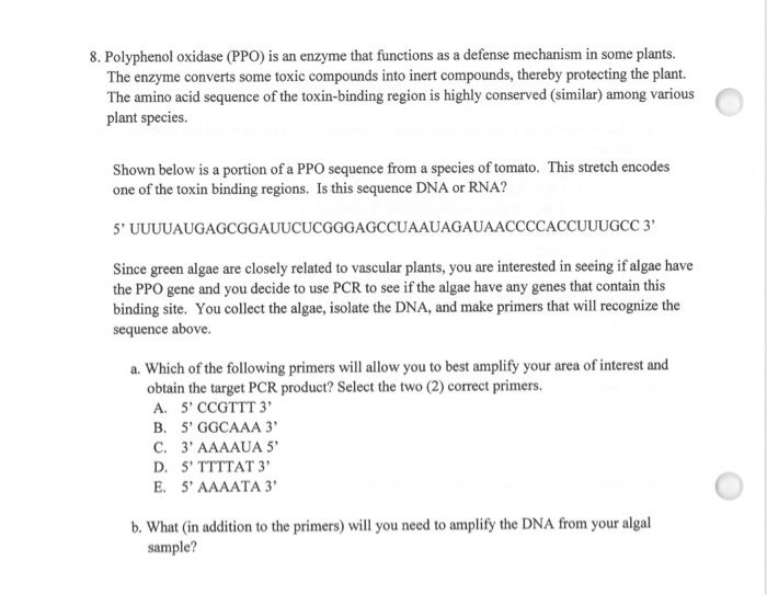 Solved Polyphenol oxidase (PPO) is an enzyme that functions | Chegg.com