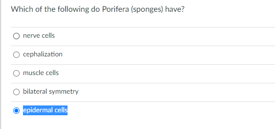 Solved Which of the following do Porifera (sponges) have? | Chegg.com