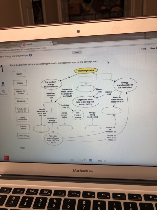 Solved Help Save a ter 4 Energy and Enzymes quiz Place the | Chegg.com