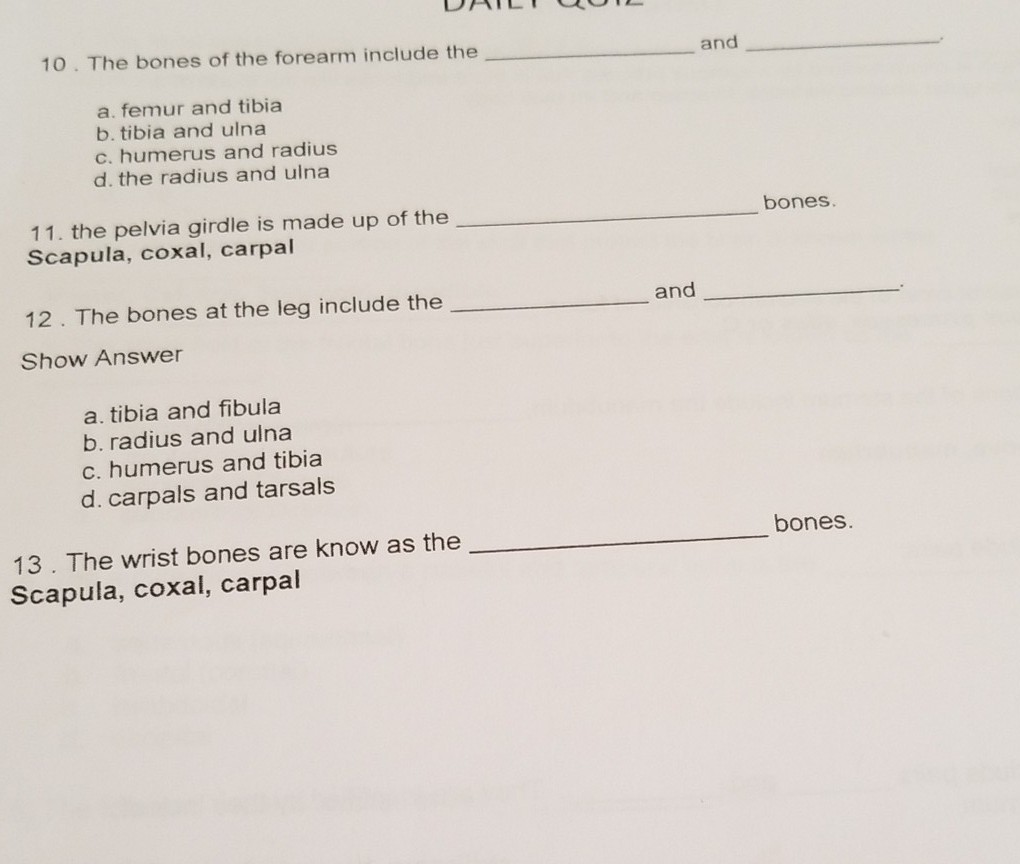 Solved 10. The bones of the forearm include the and a. femur | Chegg.com