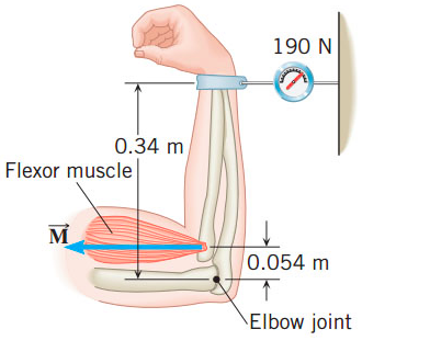 Solved Draw the free-body diagram showing the forces that | Chegg.com