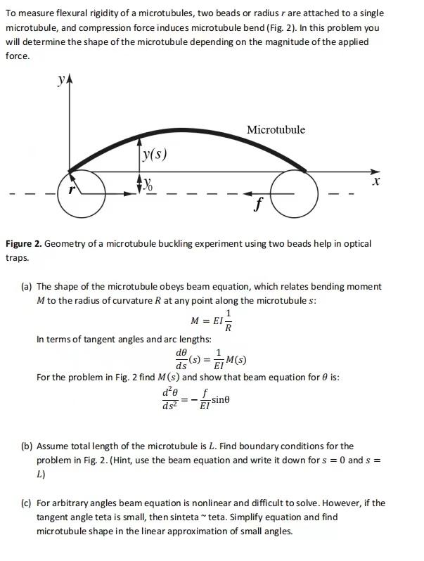 Solved To measure flexural rigidity of a microtubules, two | Chegg.com