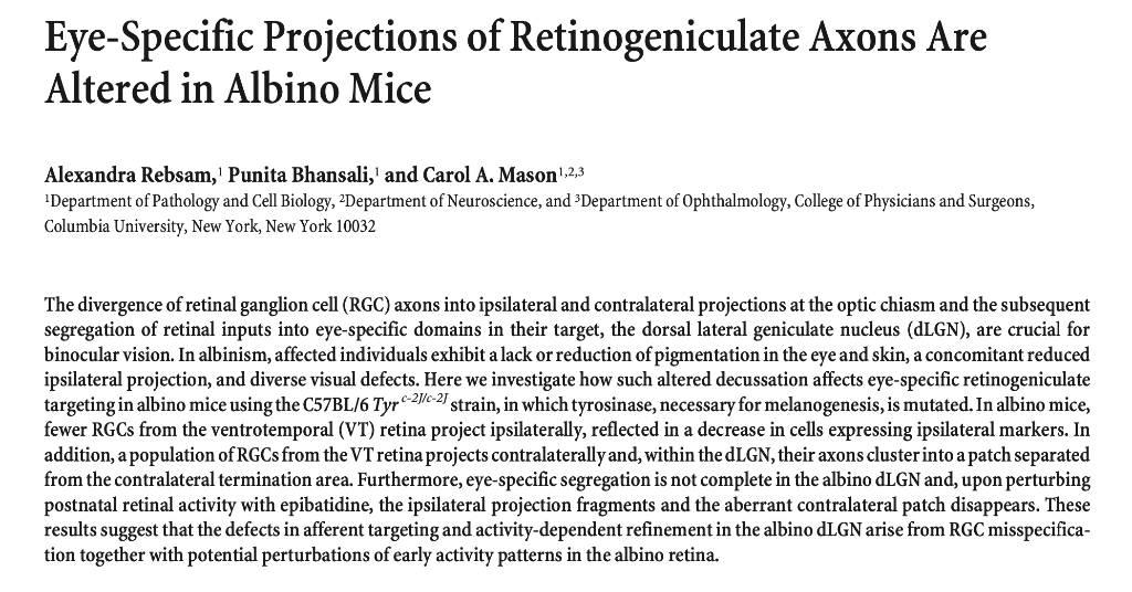 Solved Eye-Specific Projections of Retinogeniculate Axons | Chegg.com