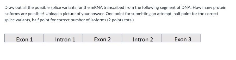Solved Draw out all the possible splice variants for the | Chegg.com