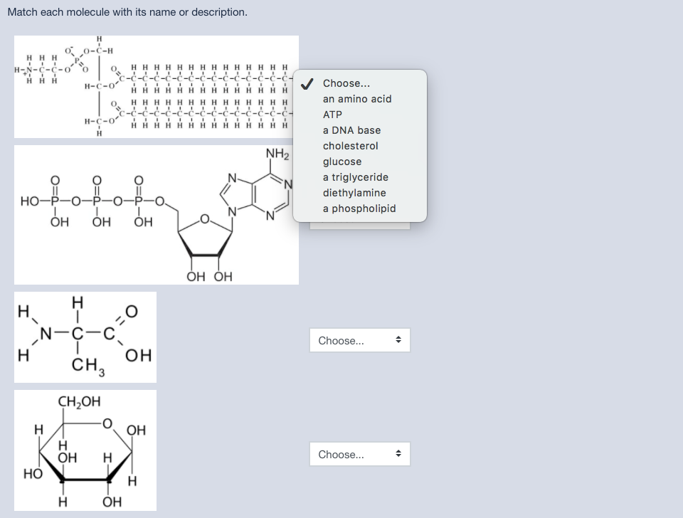 Solved Which one of the following molecular structures is | Chegg.com