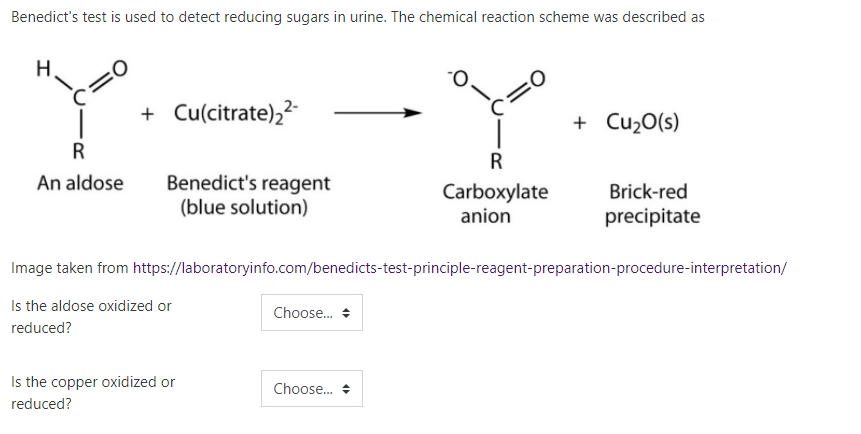 Solved Benedict's test is used to detect reducing sugars in | Chegg.com