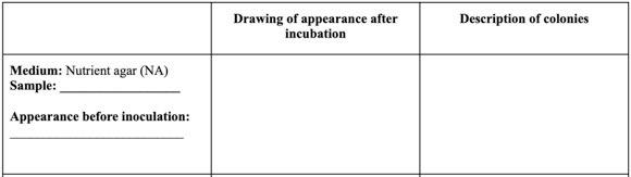 \begin{tabular}{|l|l|l|} \hline & Drawing of | Chegg.com