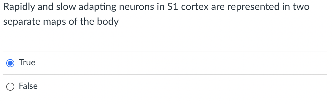 Solved Rapidly and slow adapting neurons in S1 cortex are | Chegg.com