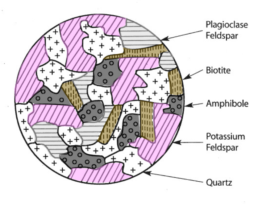 Solved The diagram above represents an cross-section of a | Chegg.com
