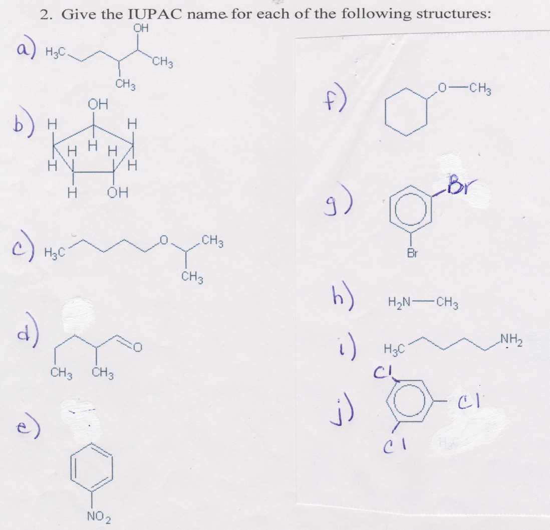 Solved Activity 3 - Assignment 1 (Functional Families | Chegg.com