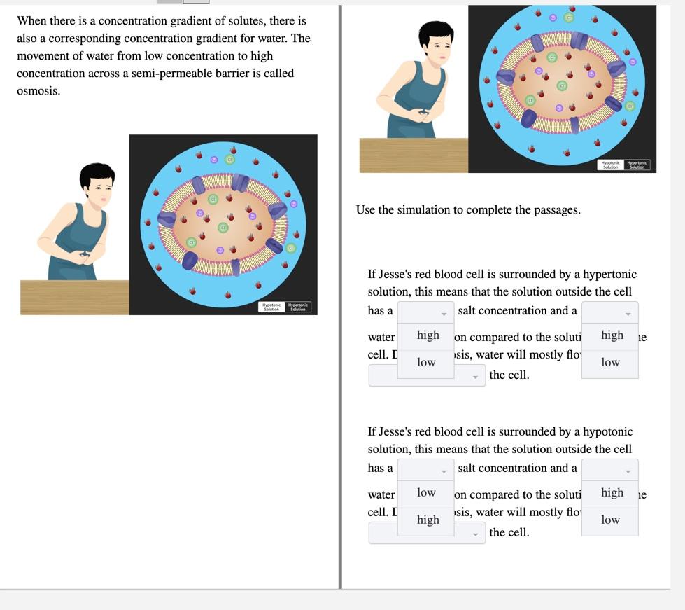 Solved When there is a concentration gradient of solutes, | Chegg.com
