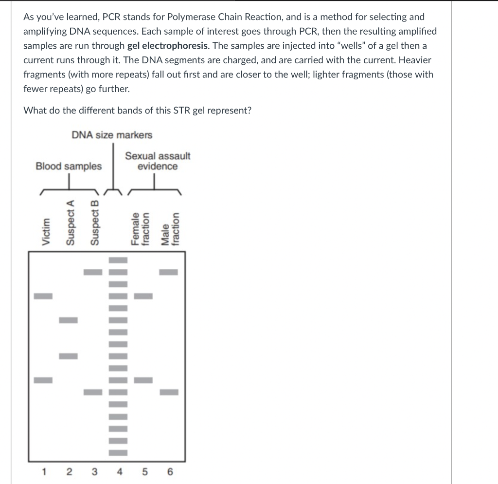 Solved Answer choices are: A.Two different STRs on the same | Chegg.com