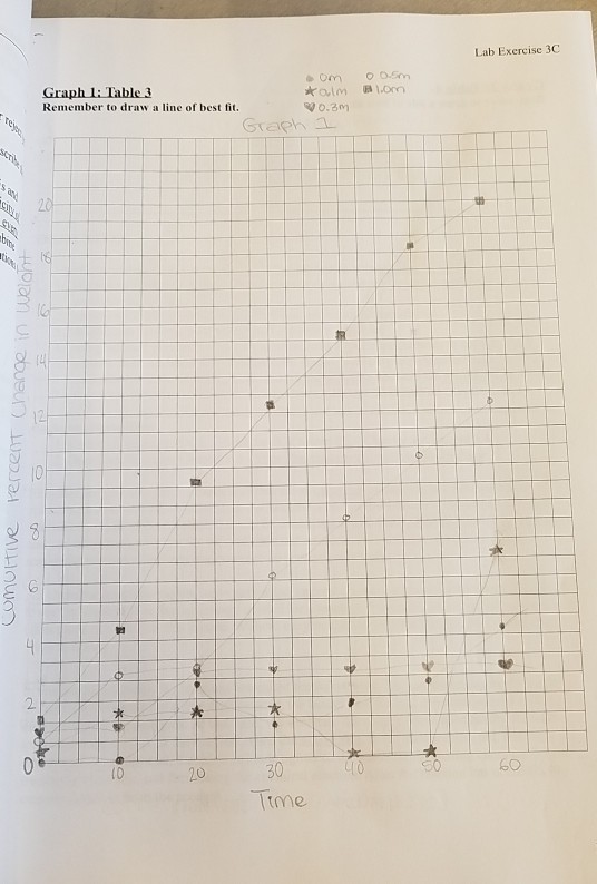 Solved Lab Exercise 3C Remember to draw a line of best fit. | Chegg.com