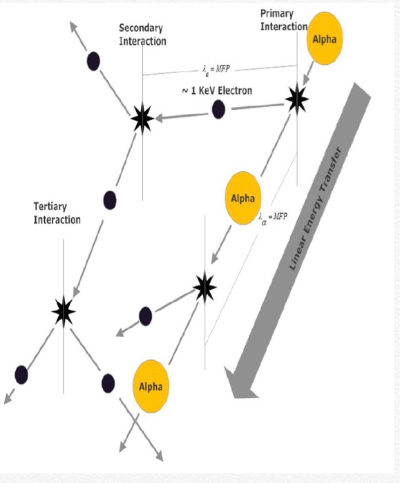 Primary Interaction Secondary Interaction Alpha 1 KeV | Chegg.com