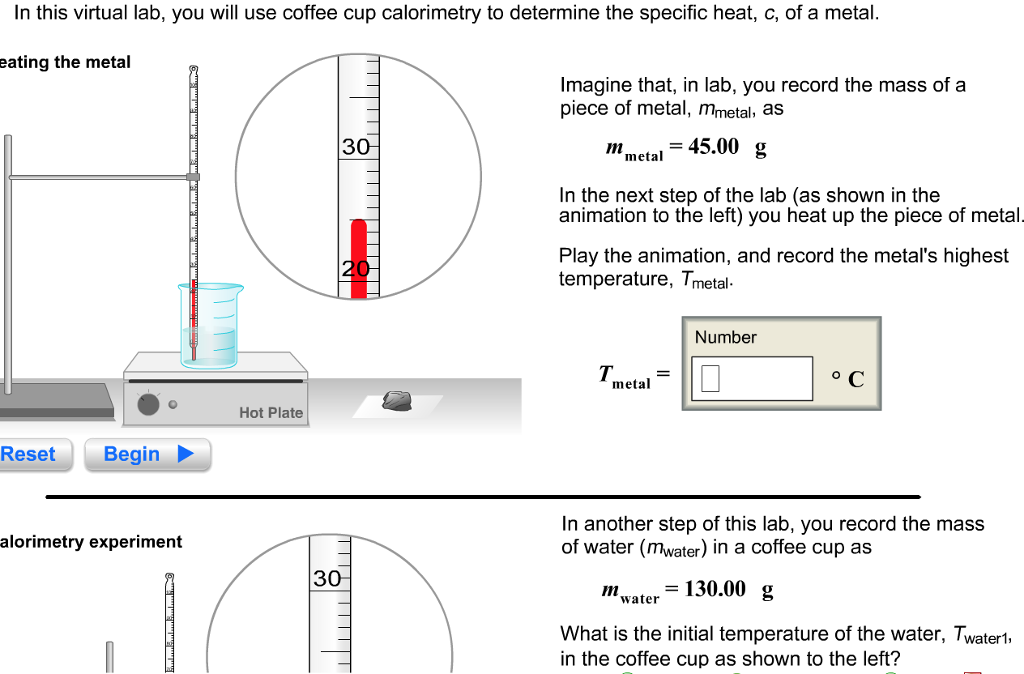 Solved In this virtual lab, you will use coffee cup | Chegg.com