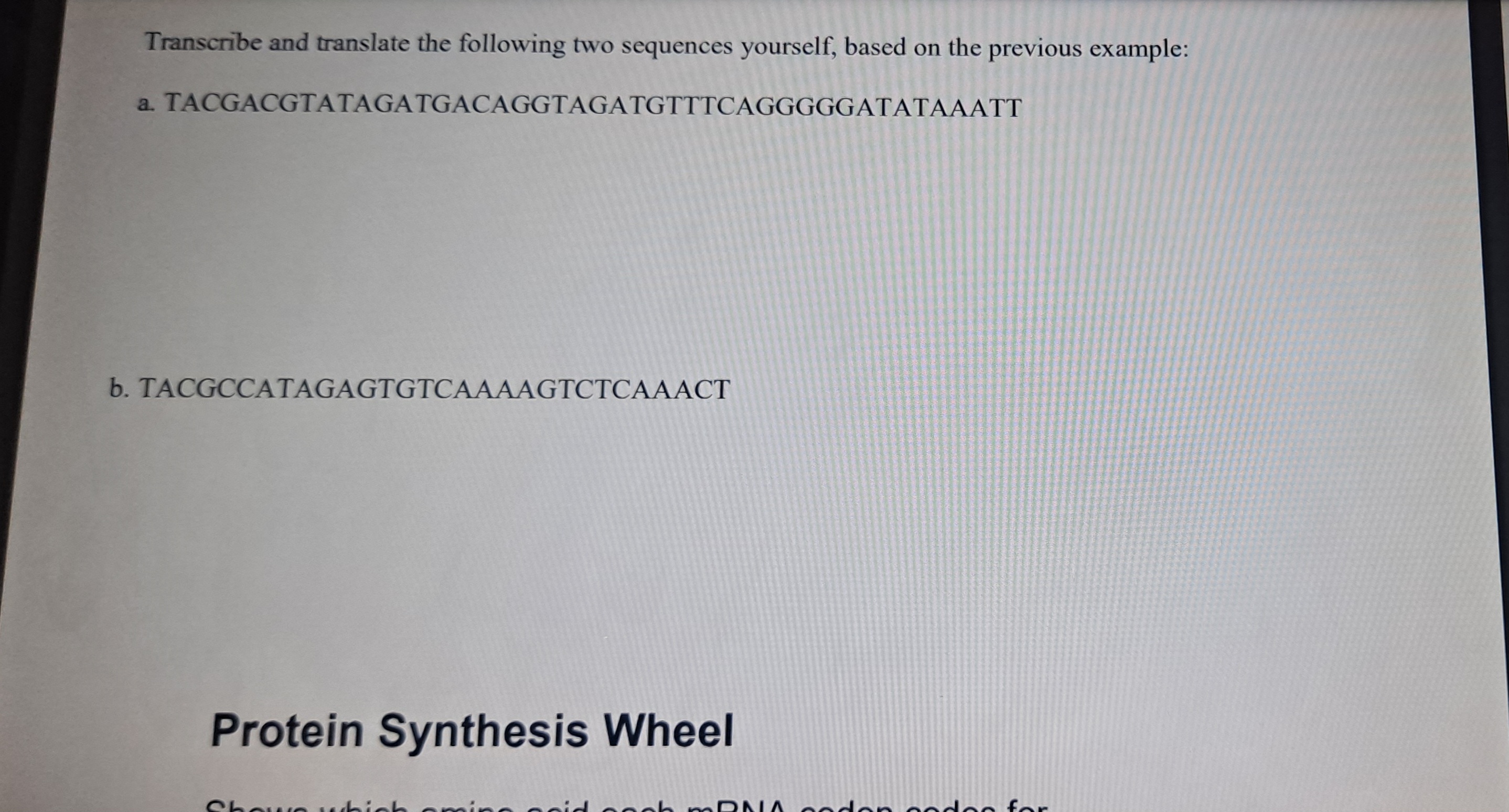 Solved Transcribe and translate the following two sequences | Chegg.com