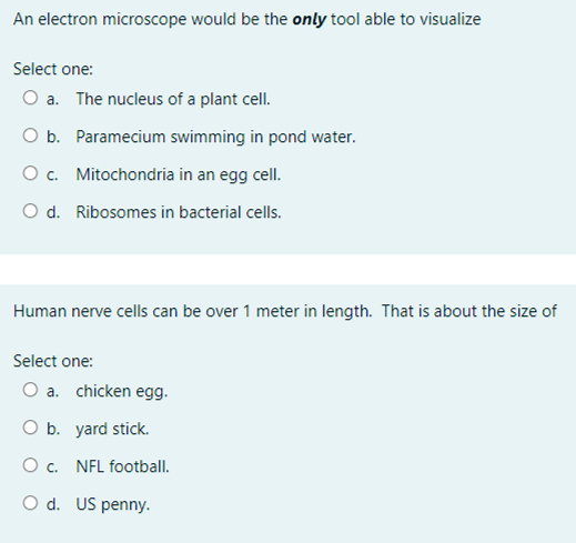 Solved A chicken egg, which is actually a single eukaryotic | Chegg.com