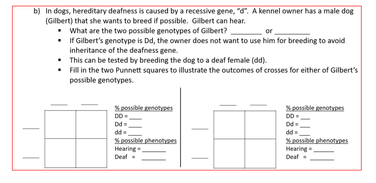 Solved b) In dogs, hereditary deafness is caused by a | Chegg.com