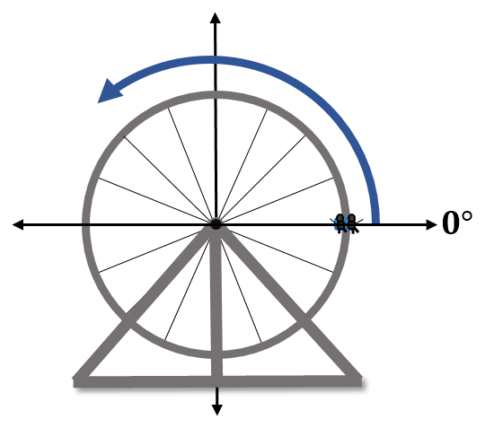 Solved Explain how the Ferris wheel height function is an | Chegg.com