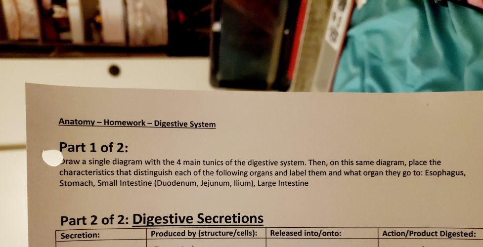 Solved Anatomy - Homework - Digestive System Part 1 of 2: | Chegg.com