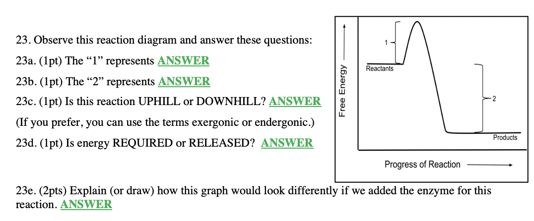 Solved Reactants 23. Observe this reaction diagram and | Chegg.com