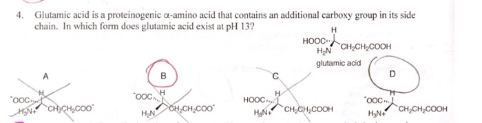 Solved 4 Glutamic acid is a proteinogenic a-amino acid that | Chegg.com