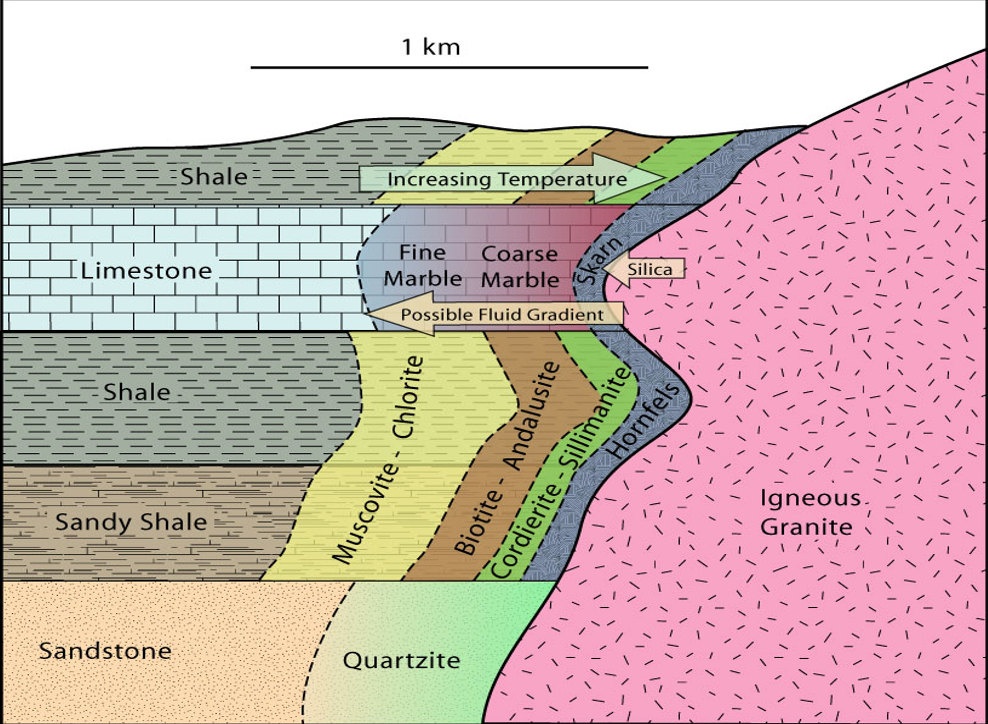 Solved 1 km Shale Increasing Temperature I Limestone Fine | Chegg.com