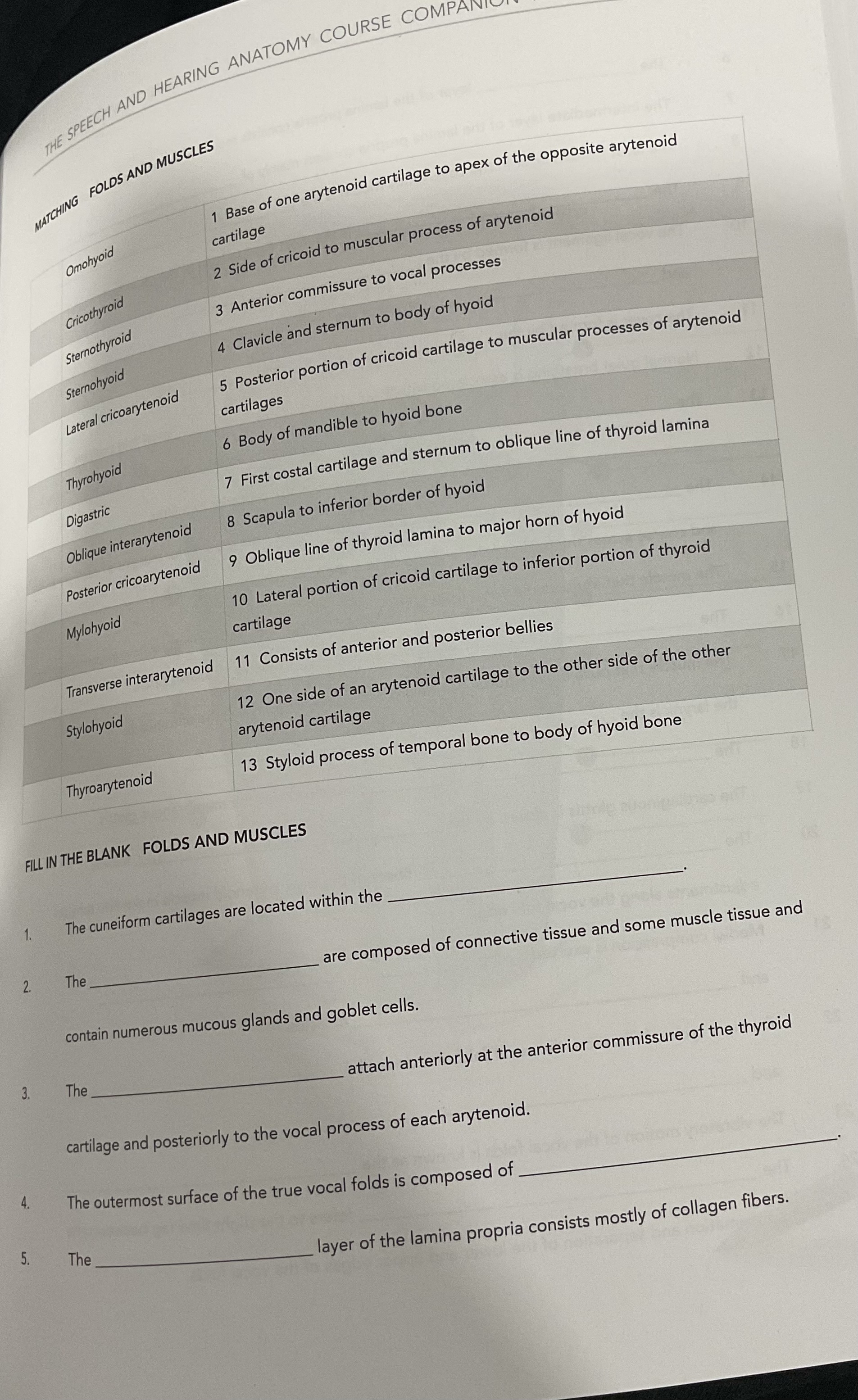 Solved FLLL IN THE BLANK 1. The cuneiform cartilages are | Chegg.com
