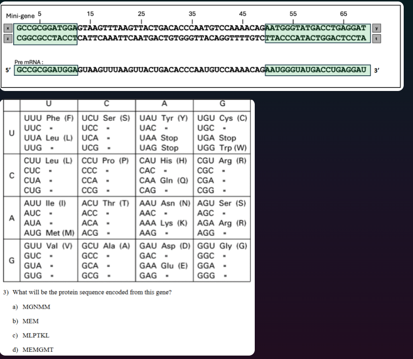 Solved What will be the protein sequence encoded from this | Chegg.com