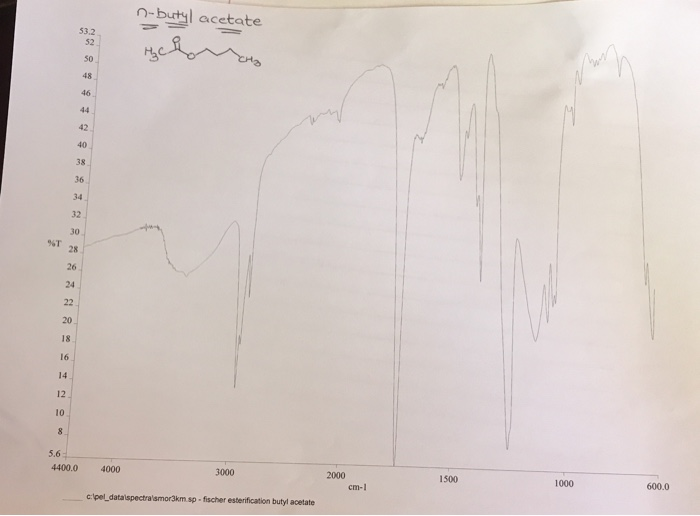 Solved: (A) IR Peaks For N- Butyl Acetate???(B) What Will ... | Chegg.com
